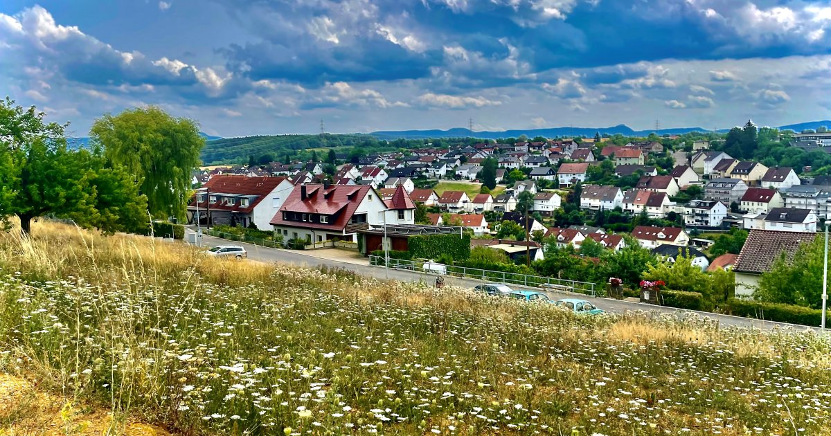 Oberboihingen | Neues Baugebiet „Erweiterung Pfanne“